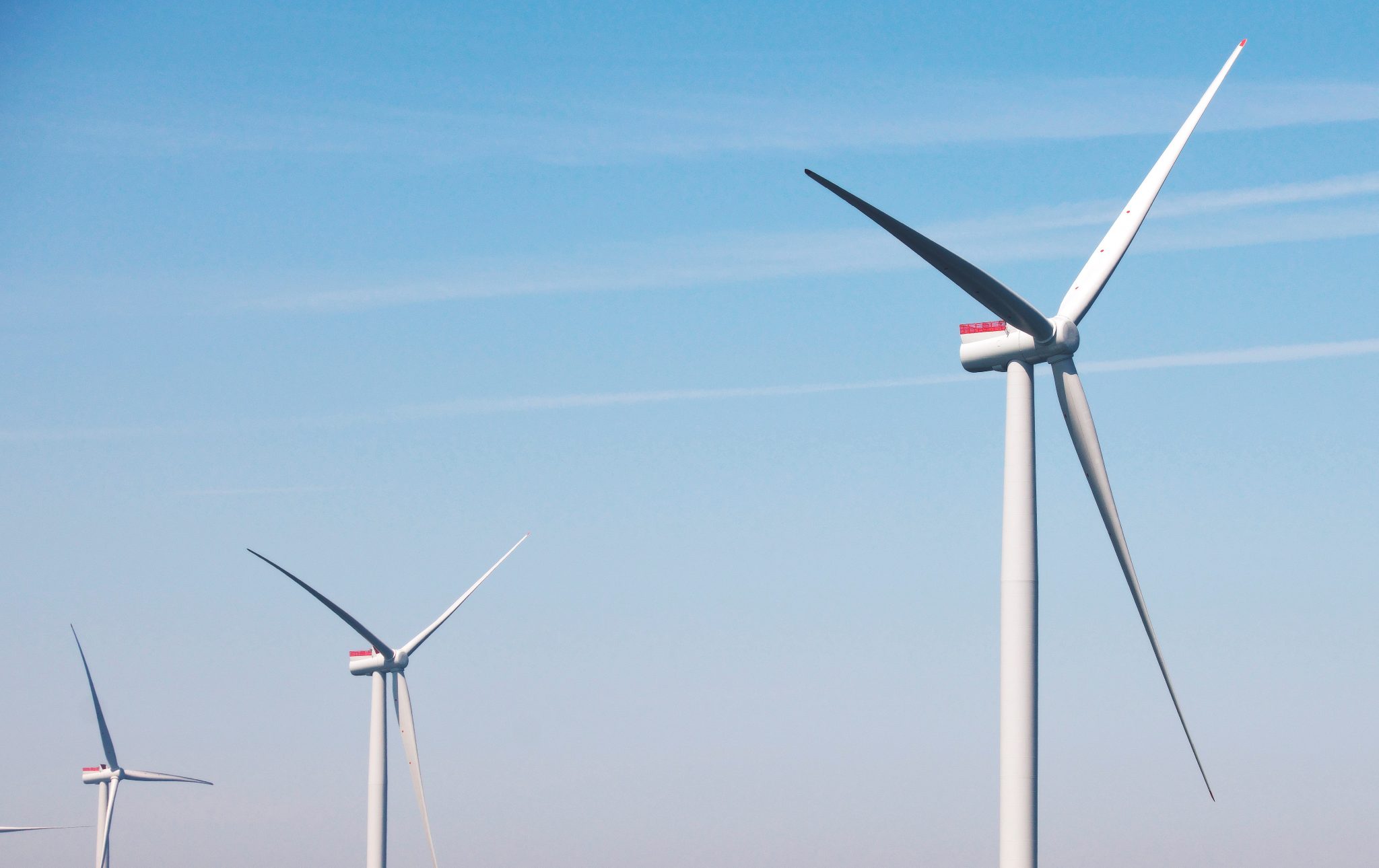 Gray Whale 3 floating offshore wind farm - DORIS